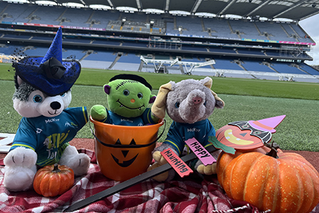 Discover Dublin from 17 storeys high - Croke Park